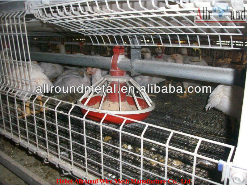Automatic Poultry Farming Equipment , High Quality Automatic Poultry ...