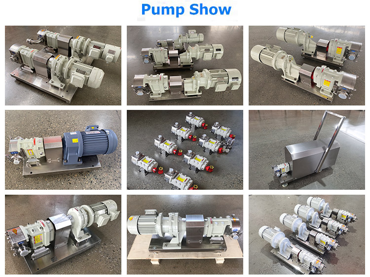 Tomato Paste Liquid Transfer Pump - Tomato Sauce Lobe Pump Set, High ...