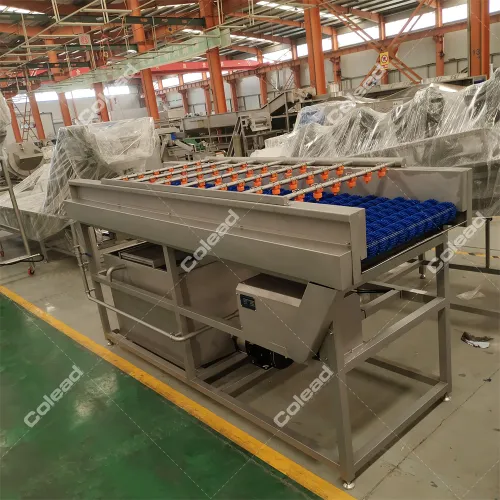 Industrial Cucumber Polishing Machine From Colead, High Quality ...