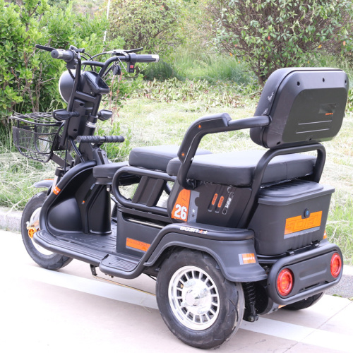 adult 3 wheel all terrain electric rickshaw China Manufacturer