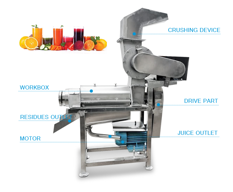 Screw Type Soursop Fruit Juice Squeezing Machine, High Quality Screw ...