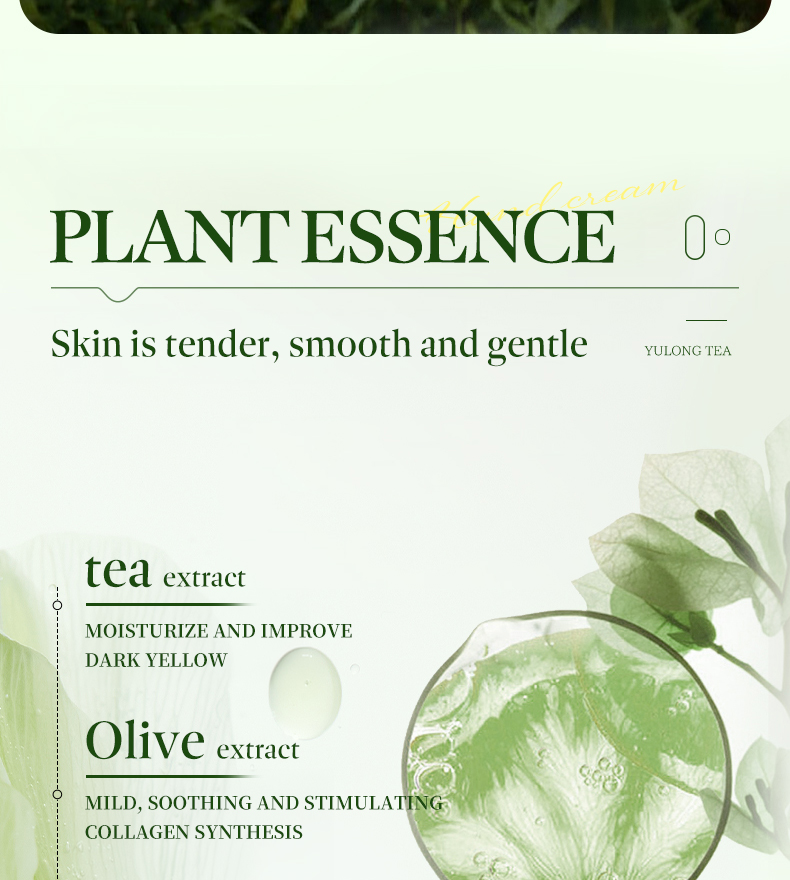Jade Dragon Tea Fragrance Hand Cream With Organic Tea Extract, High ...