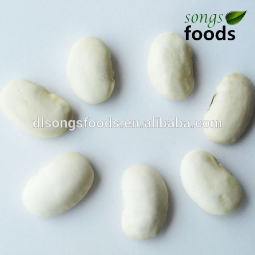 Types Of Beans, Round White Bean, High Quality Types Of Beans, Round ...