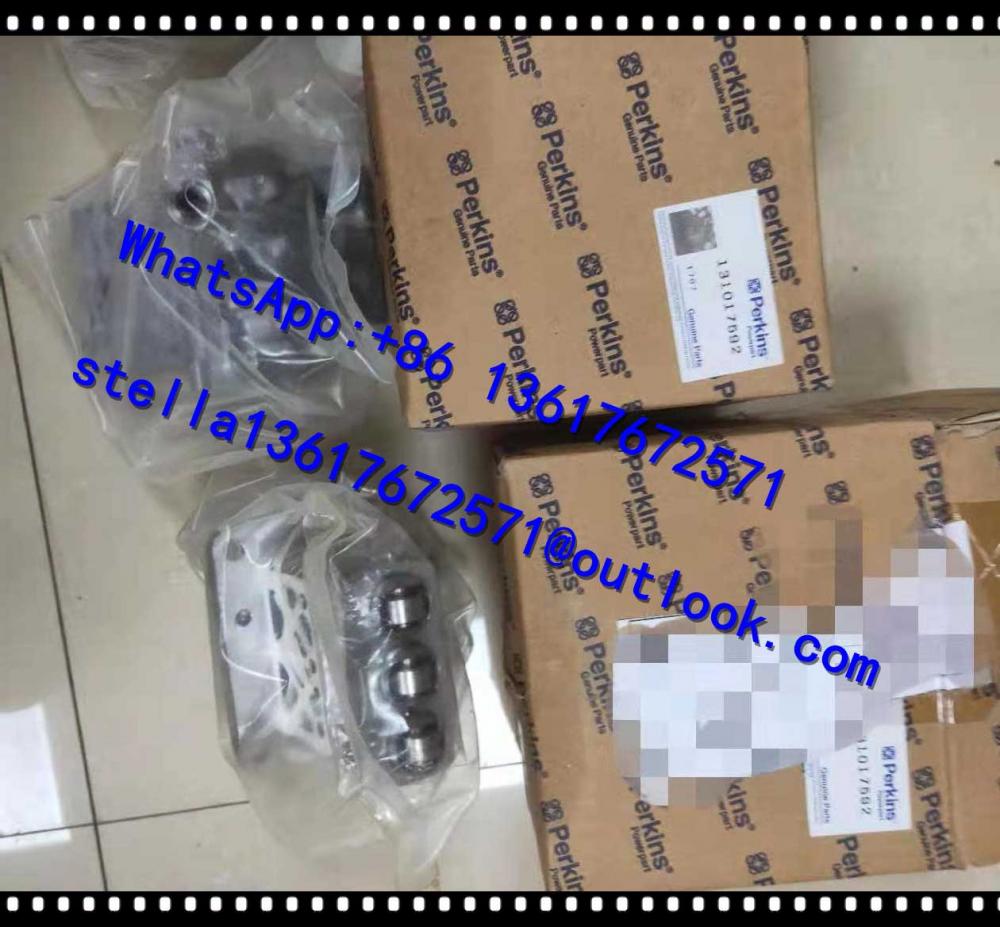 131017592 Perkins Fuel Injection Pump Fits Perkins 103.15 403d-15 403a ...