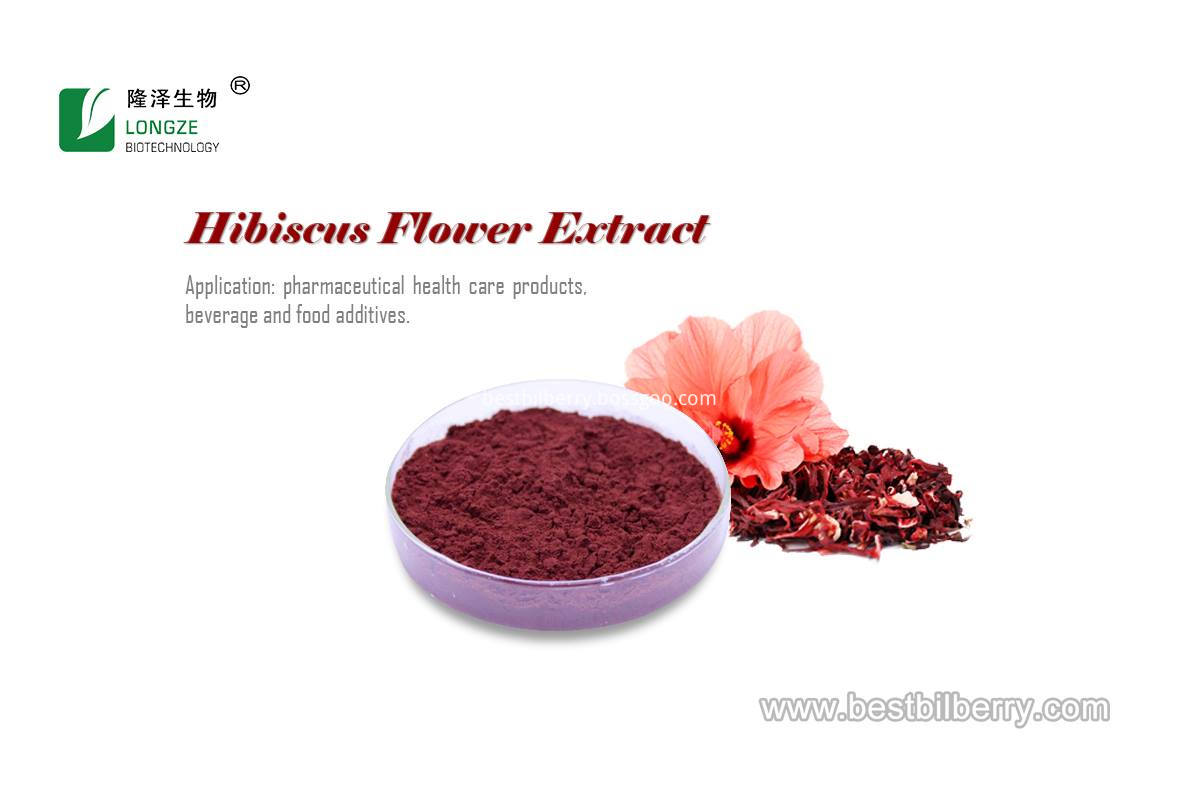 Natural Hibiscus Flower Extract, High Quality Natural Hibiscus Flower ...
