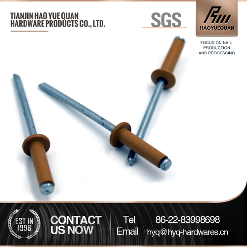 Pop Blind Rivets Remove The Blind Rivet Tool From China Tianjin, High ...