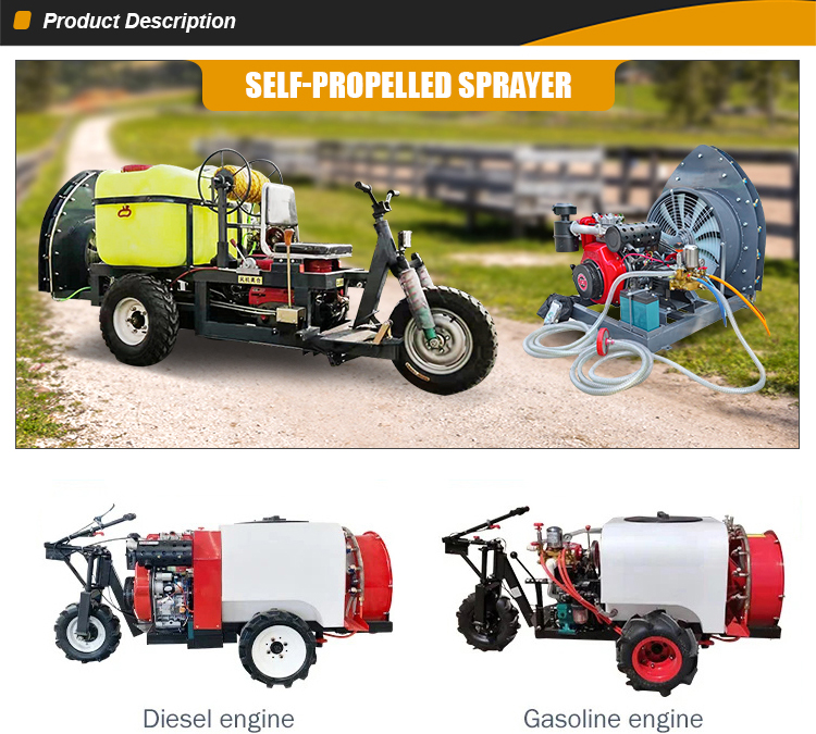 6.5hp Agricultural Gasoline Engine Power Sprayers With Frame: Efficient ...