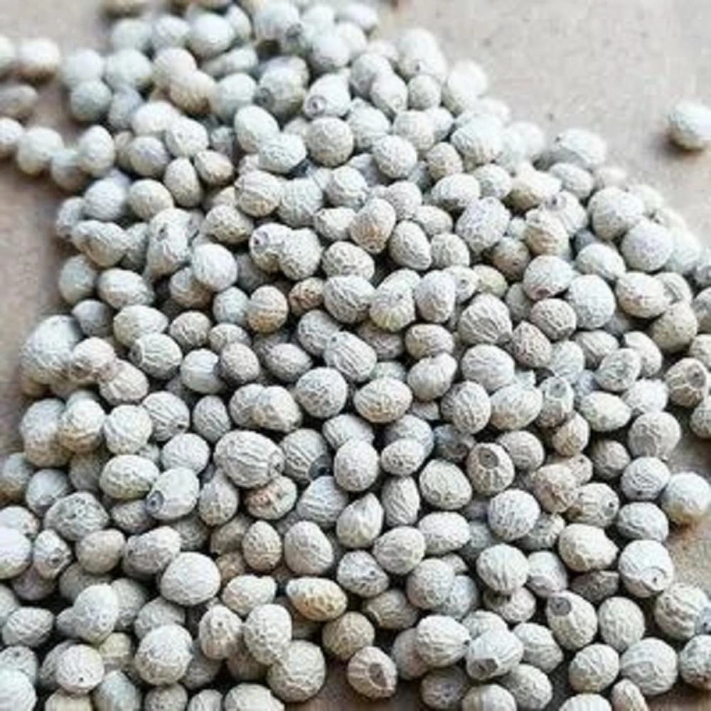 Offer Perilla Seed Sujebi Recipe From China