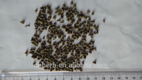 Dried Evodia Rutaecarpa,euodia Ruticarpa,tetradium Ruticarpum,euodia ...