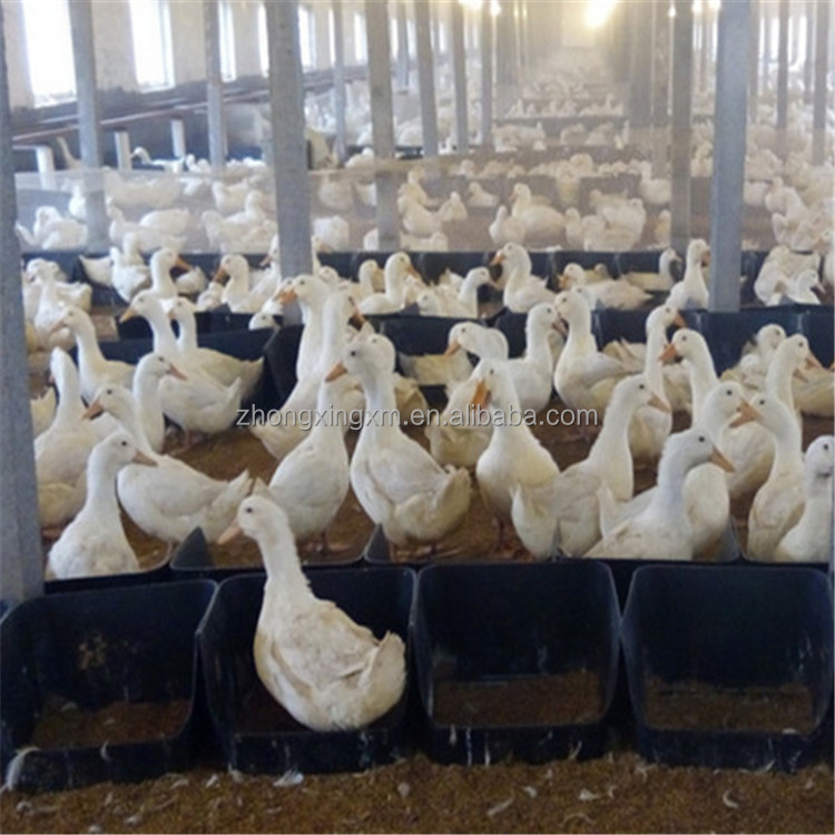 High Quality Duck Nesting Box For Poultry Farm Egg Crate, High Quality ...
