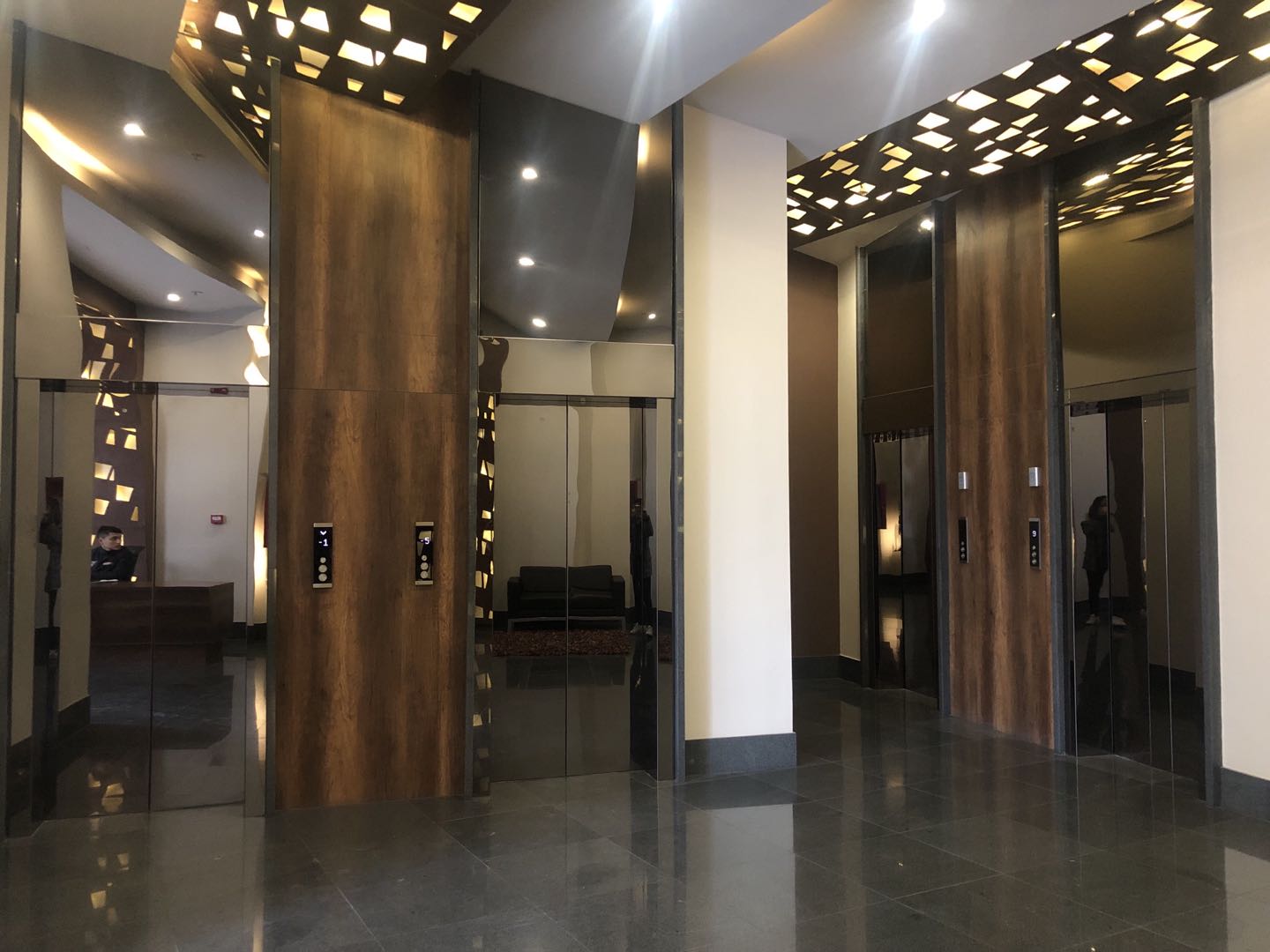 Sl Residential 1000kg 13 Person Passenger Elevator, High Quality Sl ...