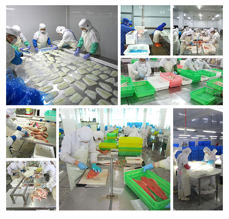 Hot Selling 2020 Pacific Interleaved Hake Fish Fillet Merluccius ...