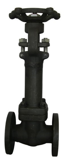 Forged Bellows Gate Valve, High Quality Forged Bellows Gate Valve on ...