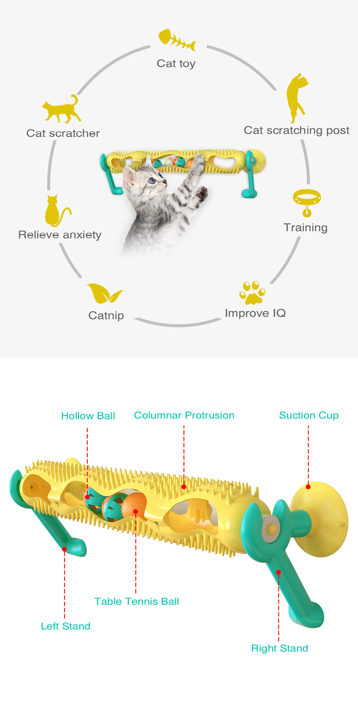 Factory Pet Interactive Cat Rail Pet Toys, High Quality Factory Pet ...