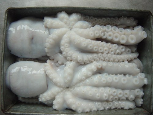 Octopus Seafood Fish High Quality Whole Frozen Octopus, High Quality ...