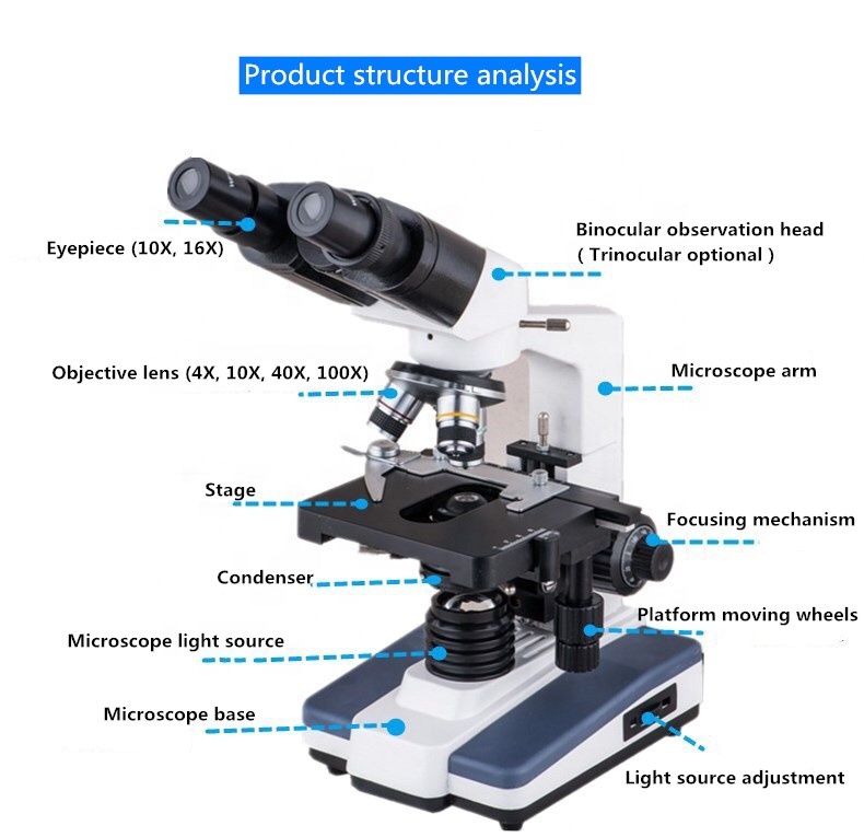 Worner Lab Electron Microscope Price And Manufacturer, High Quality ...