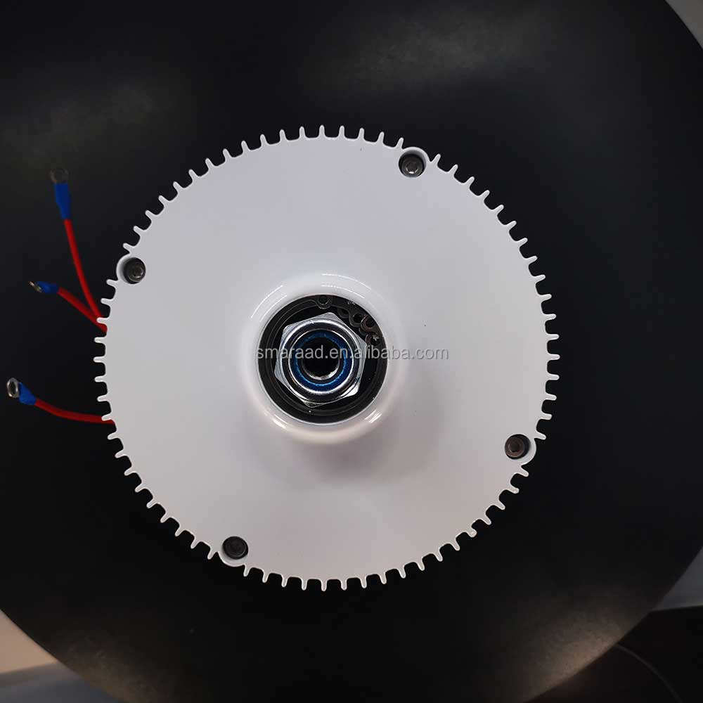 600w 3 Phase Permanent Magnet Generator Ac Alternators, High Quality ...