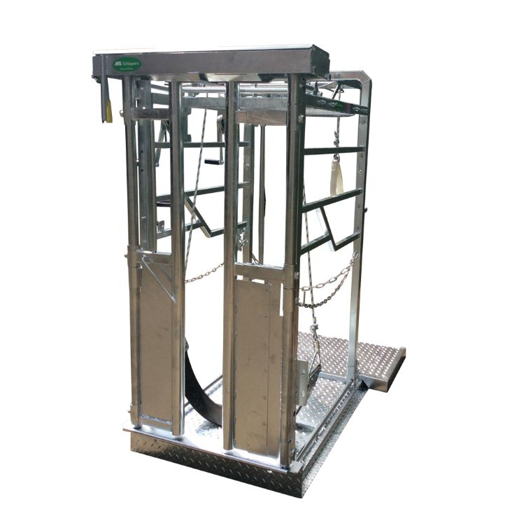 Cattle Equipment /electric Cattle Hoof Trimming, High Quality Cattle ...