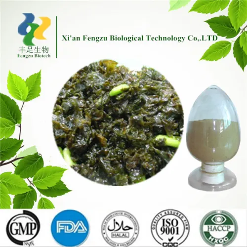 Natural Organic Lichen Extract, High Quality Natural Organic Lichen ...