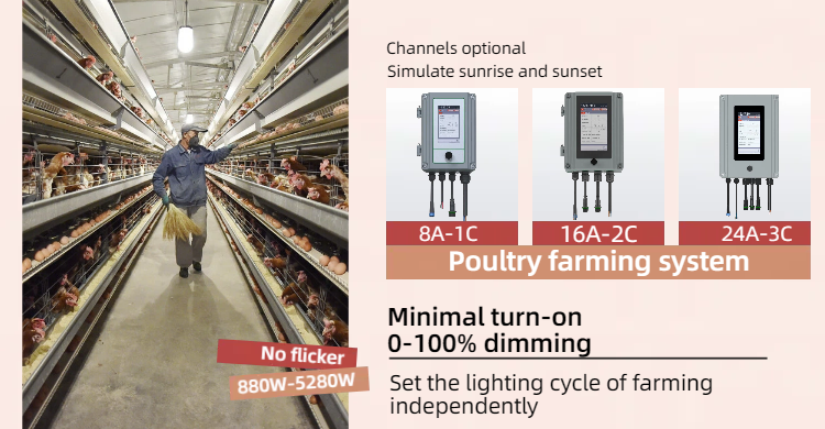 Poultry Farm Lighting Dimmer: Controlled Illumination Solutions 1-3 ...