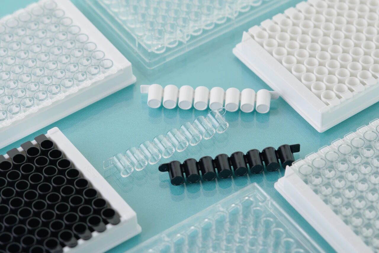 ELISA Plates Explained: A Complete Guide from Basics to Practical Tips