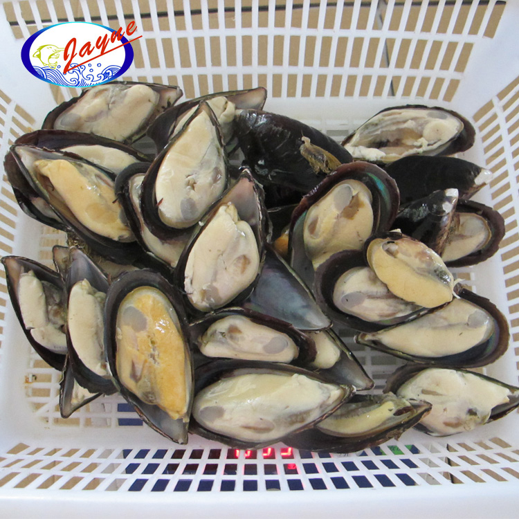 Frozen Half Shellmussel Meat Frozen Meat In Half Shell Frozen Mussels ...