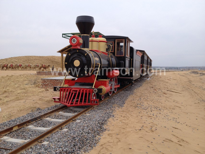 the sightseeing train in desert