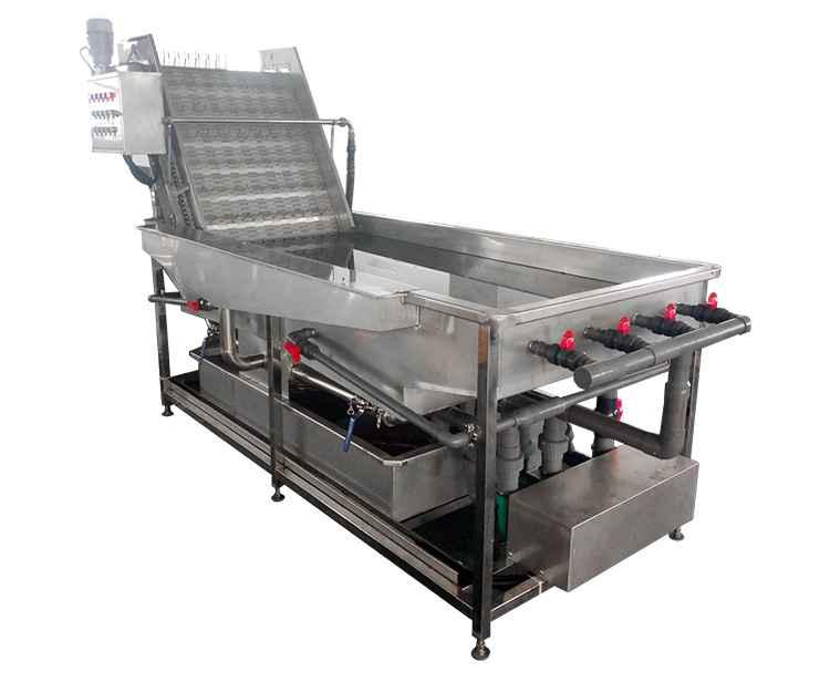 Automated Soy Cacao Bean Sprout Washing Machine For Enhanced ...