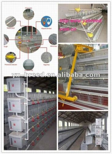 Broiler Poultry Farm House Design, High Quality Broiler Poultry Farm ...