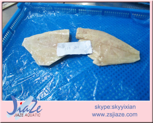 Brama Fillet Seafood Frozen Fish Fillet, High Quality Brama Fillet ...