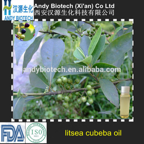 Litsea Cubeba Oil, High Quality Litsea Cubeba Oil on Bossgoo.com