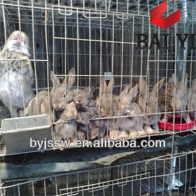 Large Scale Farming Rabbit Cage, High Quality Large Scale Farming ...