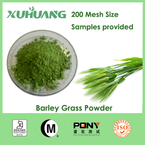 Iso 9001 Malt Extract,barley Malt Powder,barley Grass Powder, High ...