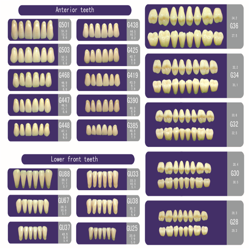 Dental Full Set Denture Two Layers Resin Teeth, High Quality Dental ...