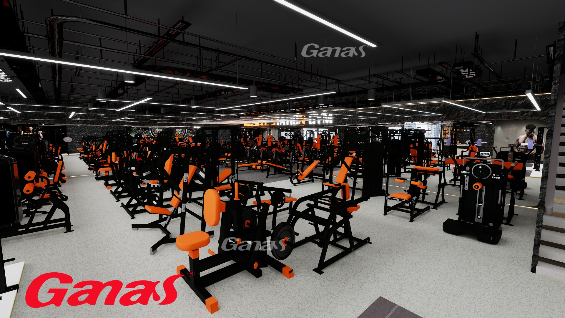 What Is a Commercial Gym