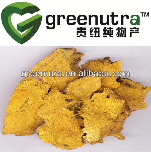Giant Knotweed Root Extract Powder/polygonum Cuspidatum Root Extract ...