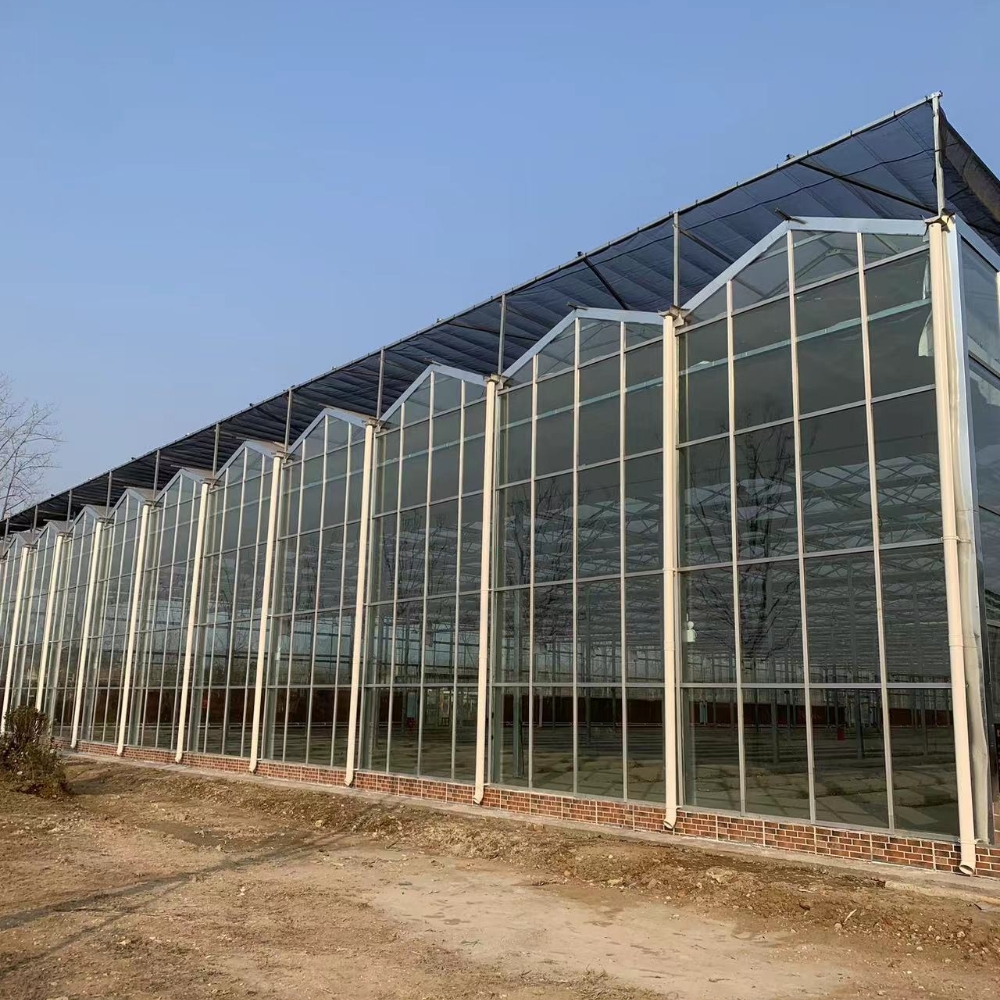 Outdoor Greenhouse with External Shading for Agriculture China ...