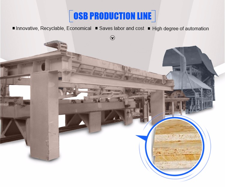 Automatic Osb Production Line: 50,000 Cbm Capacity Per Year, High ...