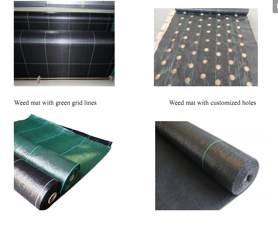 ผ้าคลุมดินวัชพืชเกษตรกรรม คุณภาพสูง ผ้าคลุมดินวัชพืชเกษตรกรรม บน ...