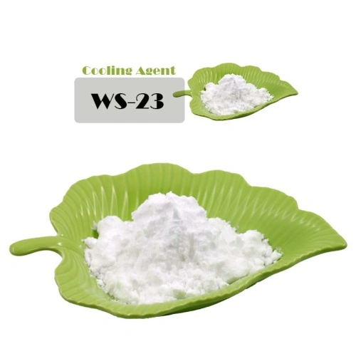 WS-23 cooling agent WS23 CAS No. 51115-67-4 China Manufacturer