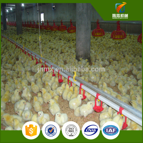 Iso9001 Qualified Automatic Chicken Farming Equipments, High Quality ...