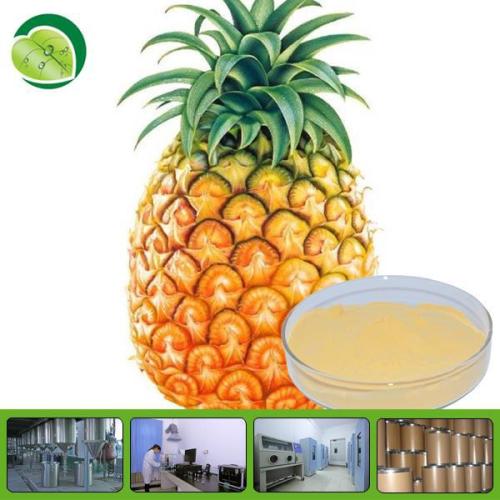 Pineapple Extract Bromelain Extract Powder, High Quality Pineapple ...