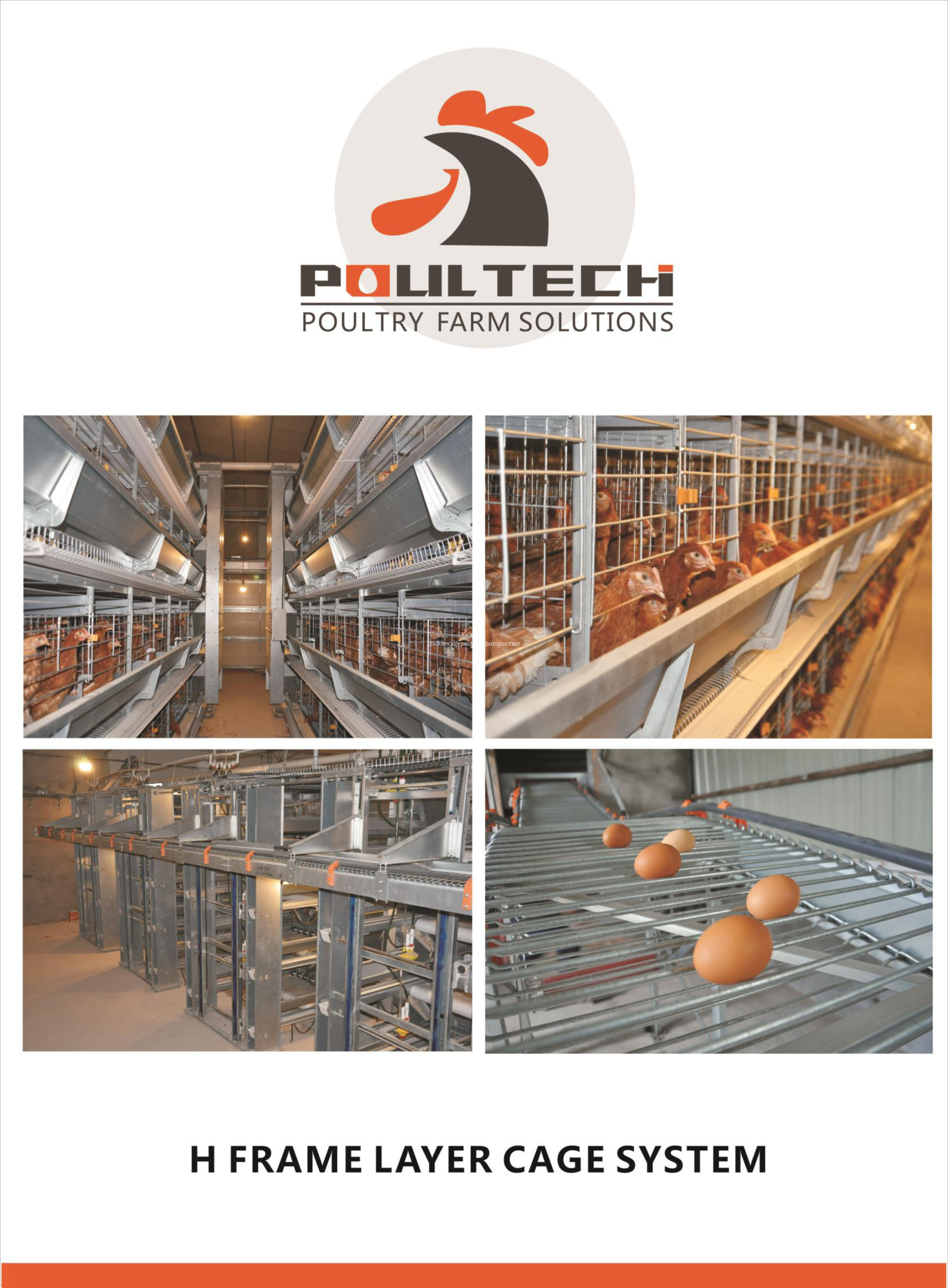 Chicken Cage System, High Quality Chicken Cage System on Bossgoo.com