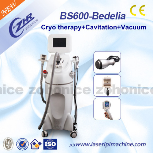 Bs600 Cryo Fat Breaking Machine Lpo Laser, High Quality Bs600 Cryo Fat ...