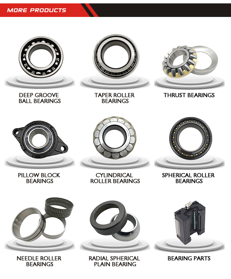 Sblf 208-25 2 Bolt Flange Bearing Housing Pillow Block Bearing, High ...