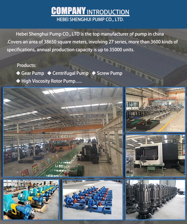 Shenghui Movable 220 Volt Cast Iron Fuel Transfer Pump With Ac Power ...