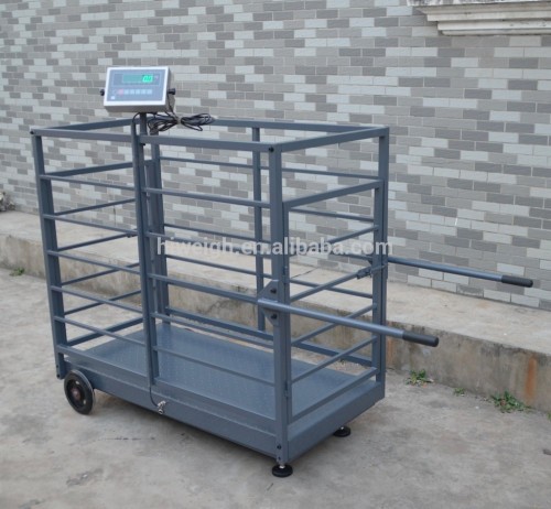Livestock Pig Scale Sheep Scale Goat Scale Animal Scale Capacity 600 ...