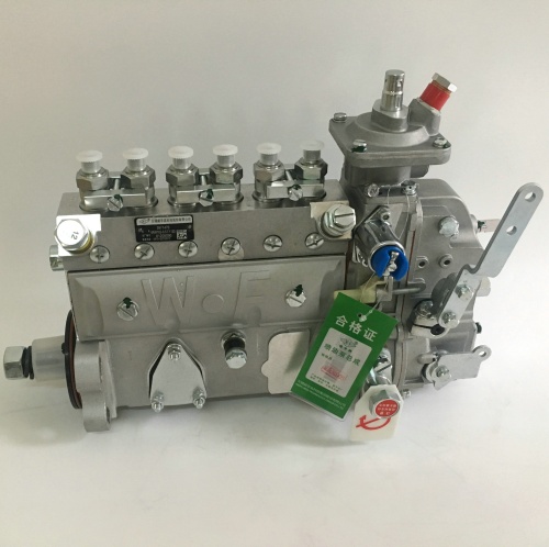 Genuine Engine Part Fuel Injection Pump 3971476 Diesel Fuel Pump For ...