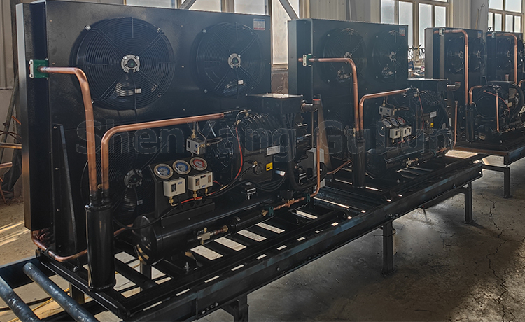 New Condition 3hp Air-cooled Condensing Units C33-al, High Quality New ...