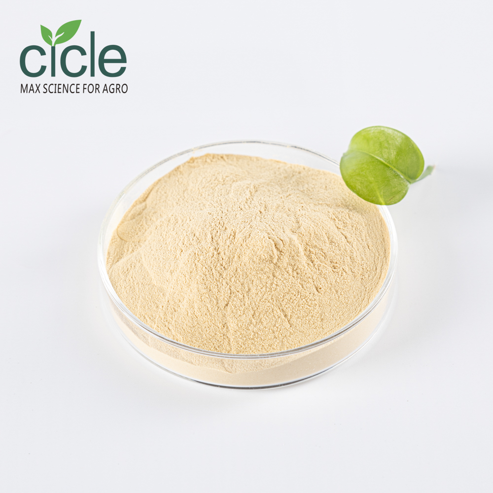 China Yeast Extract YE Powder Manufacturer, Supply Yeast Extract YE Powder